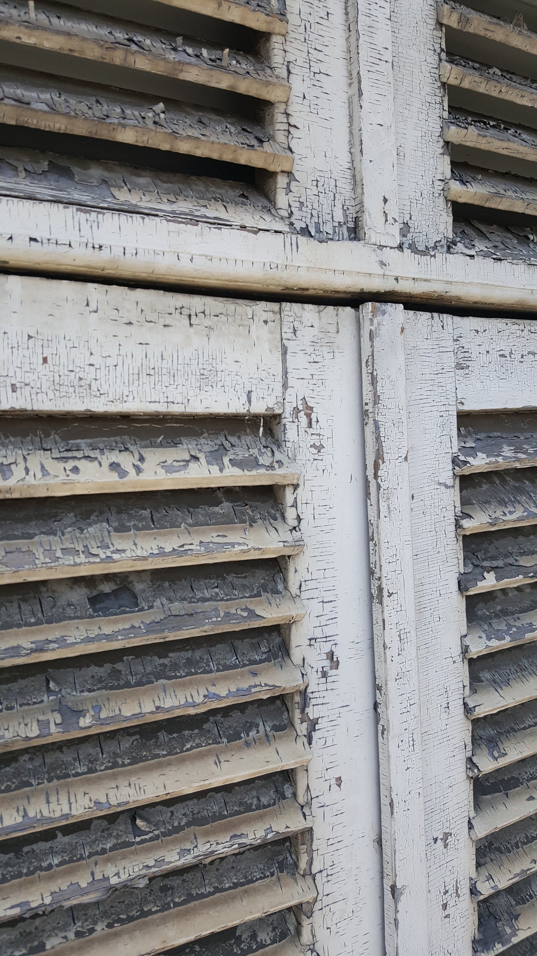 Painted French Shutter with Arched Transom – Antiquities Warehouse